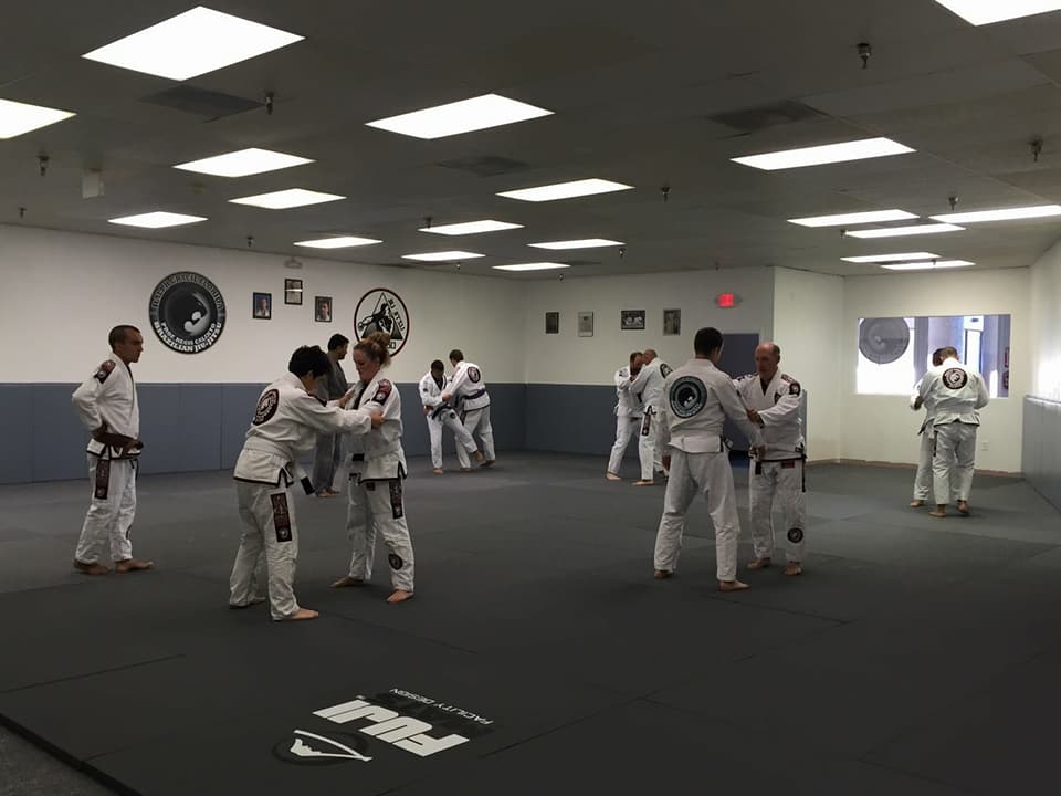 Blog do Olivar: REGIS CALIXTO: HISTÓRIA VIVA EM EVOLUÇÃO NO JIUJITSU.