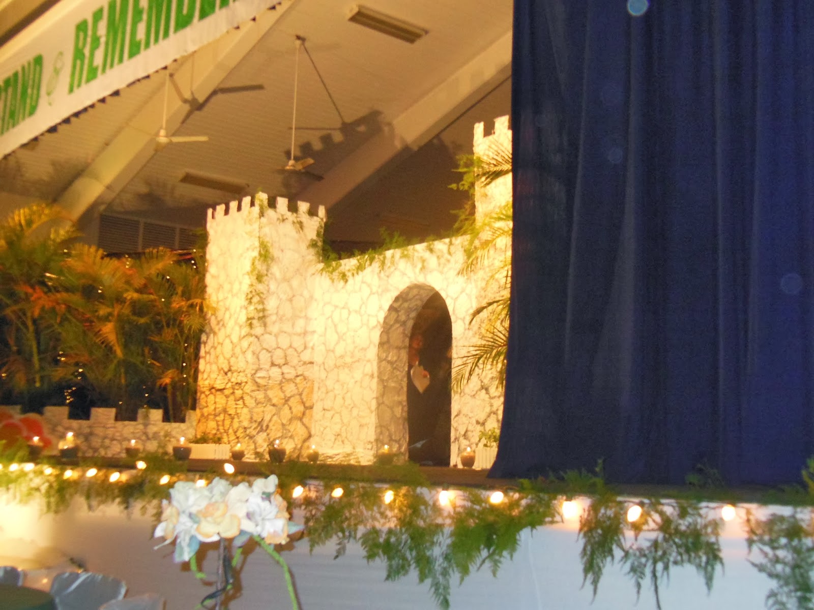 Tonga!: This is the castle made out of scrap lumber and paper mache ...