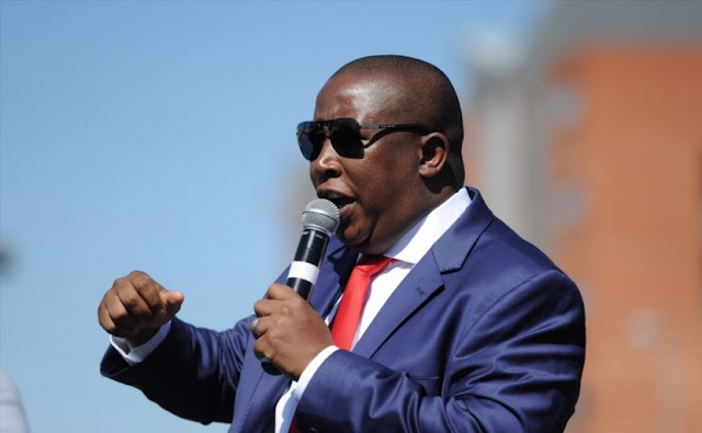 Economic Freedom Fighters leader Julius Malema is set to graduate with ...
