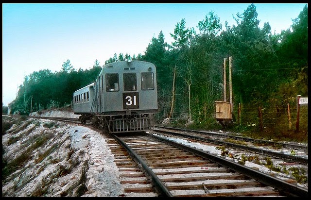 50 Rare Color Photographs Capture Everyday Life in Bermuda in the 1930s ...