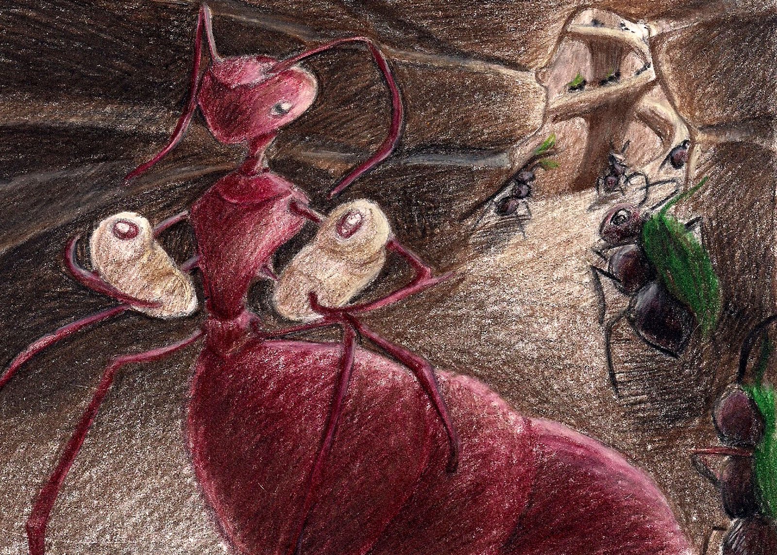 Kate Guthrie: Zodiac Bugs!