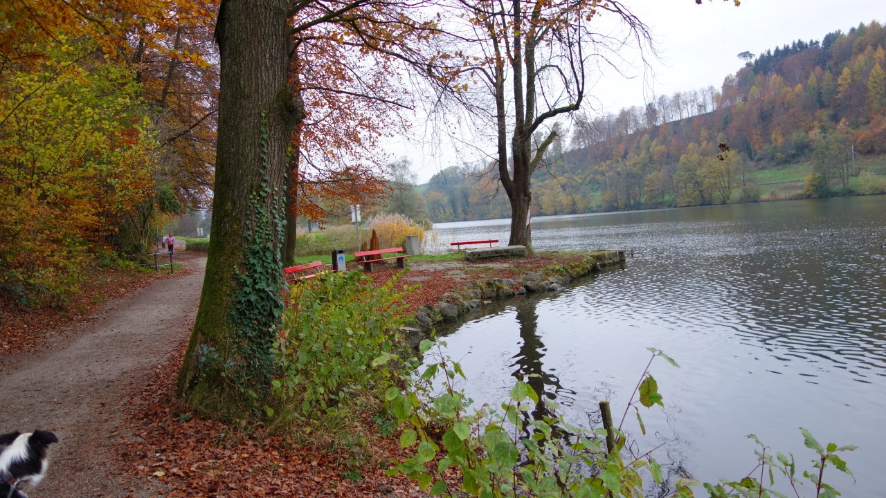 Bilder und Texte zu meinen Wanderungen mit Hund: Rund um den Rotsee