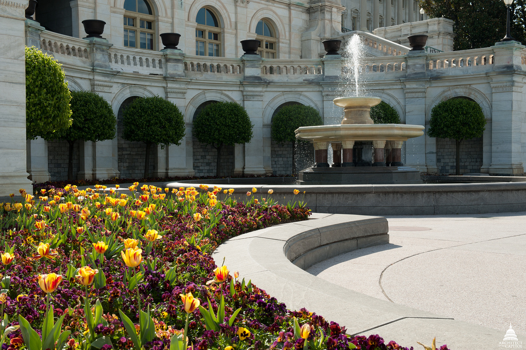 West Front Fountain at the U.S. Capitol ~ AmazingWorldPicture