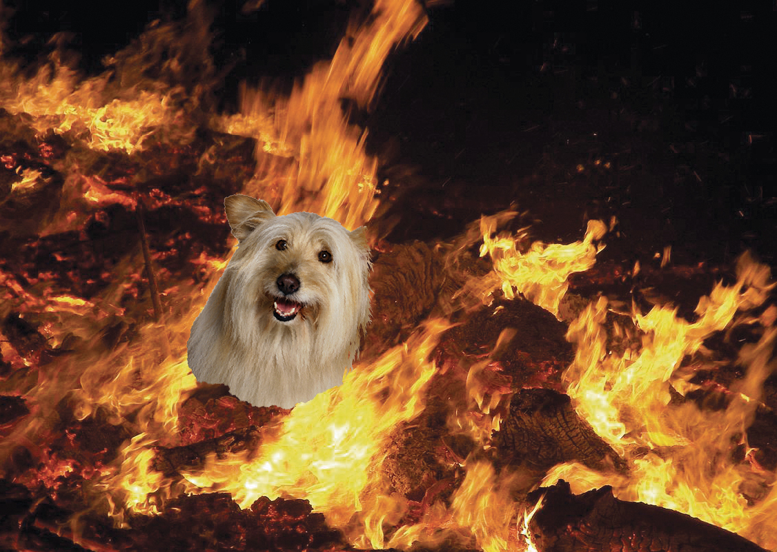 Famous fire dogs - hopeFlex