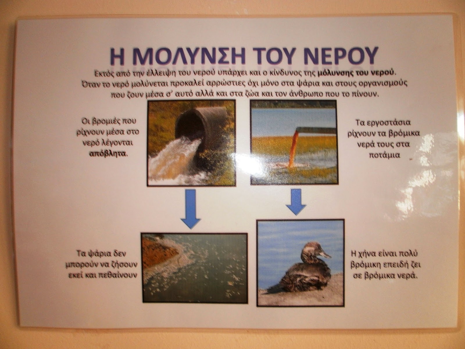 1ο ΝΗΠΙΑΓΩΓΕΙΟ ΙΣΤΙΑΙΑΣ: ΜΟΛΥΝΣΗ ΚΑΙ ΕΛΕΙΨΗ ΤΟΥ ΝΕΡΟΥ- ΠΛΕΥΣΗ, ΒΥΘΙΣΗ ...