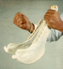 Música mexicana!!! ¿La has escuchado? - Foros Perú