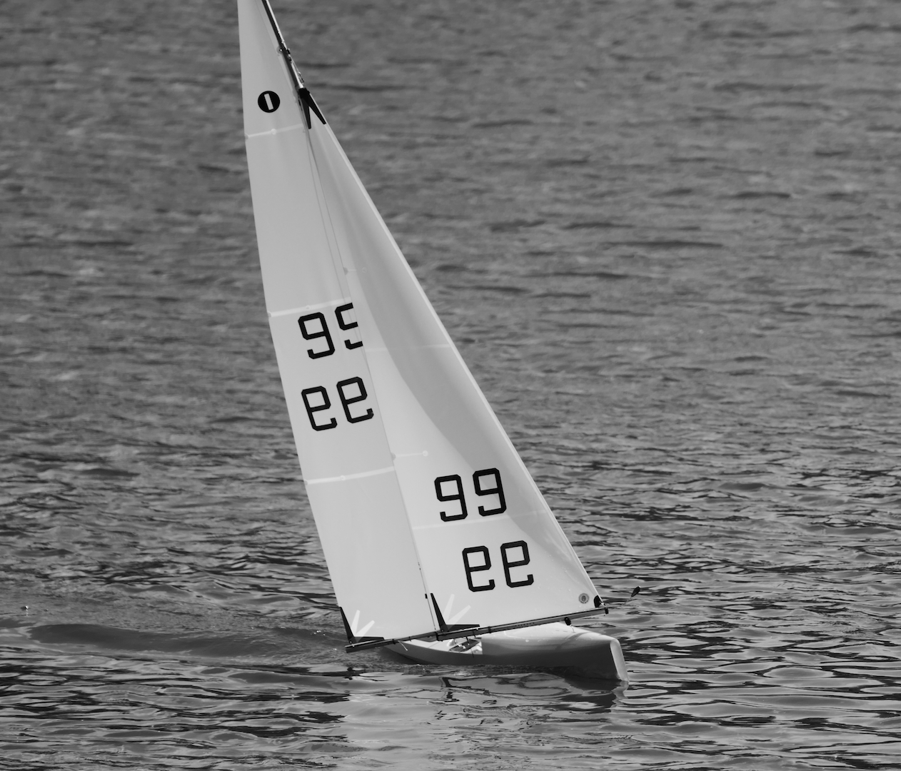 Swansea Model Yacht Club