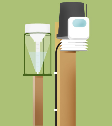 M@techno: Solution Technique