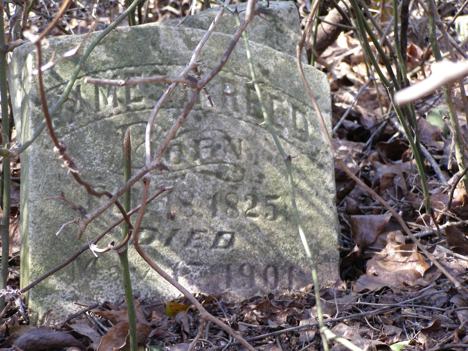 The Family of John Wiley Reed 1792-1854: The Reed-Odom Burial Site in ...