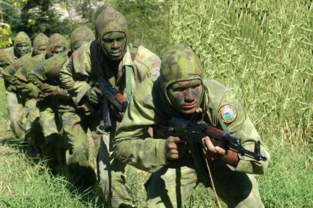 FOTOARMAS.COM: Fusil AK-47 Kalashnikov. (Cuba)