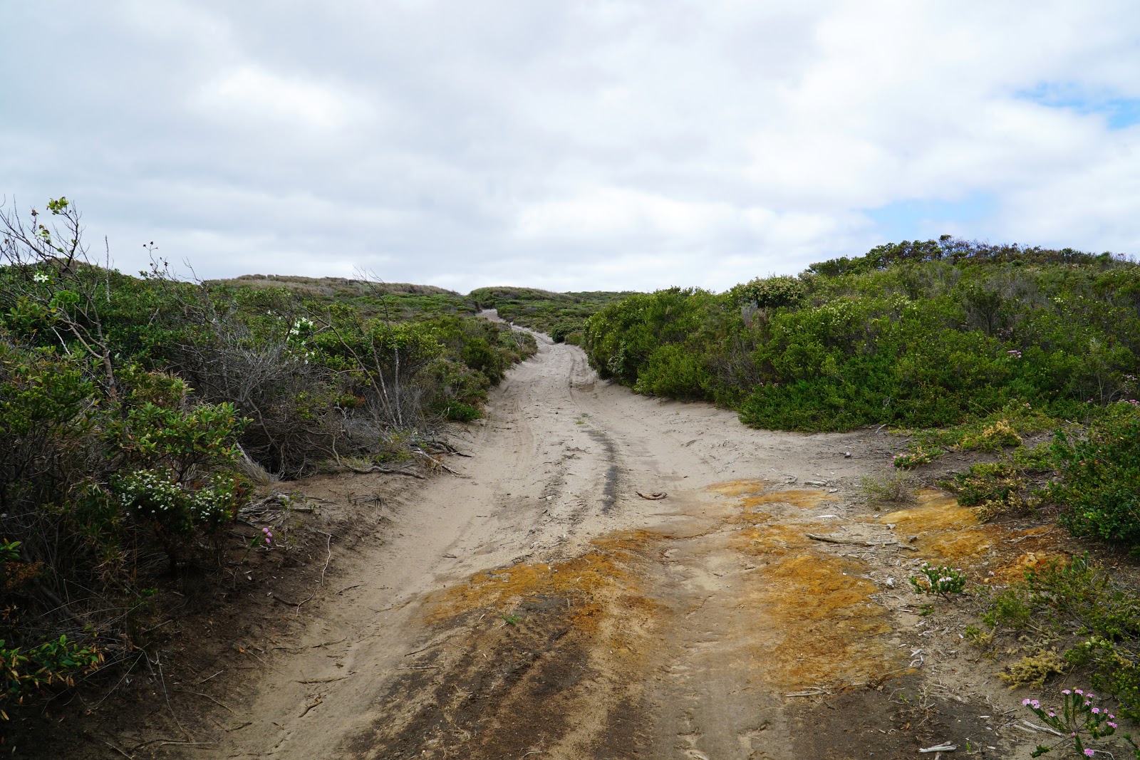 Torbay Head & West Cape Howe (West Cape Howe National Park) ~ The Long ...
