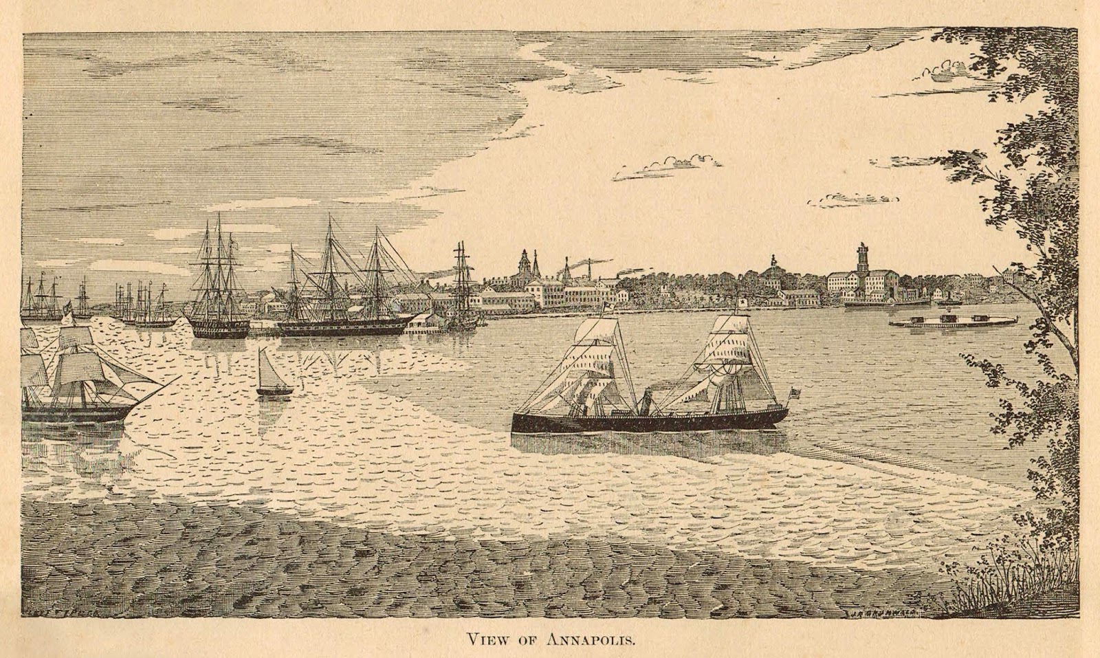 Earwigoagin: Wood Engraving: Print of Annapolis Harbor around the Civil War
