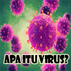 Pengertian Virus dan Penemunya serta Ciri-cirinya (Biologi)