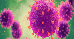 Pengertian Virus dan Penemunya serta Ciri-cirinya (Biologi)