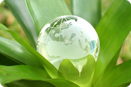 DOCUMENTEAZA-TE: Sa protejam mediul inconjurator.