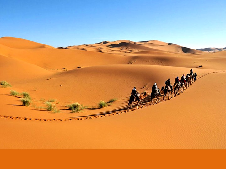 Best WallPapers: Desert Scene Wallpapers