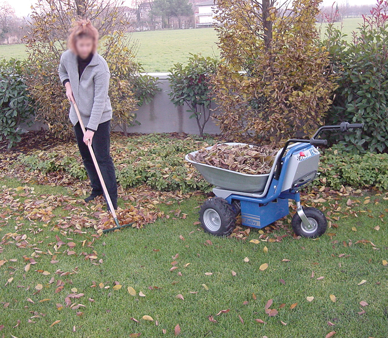 Electric wheelbarrow Zallys Brio