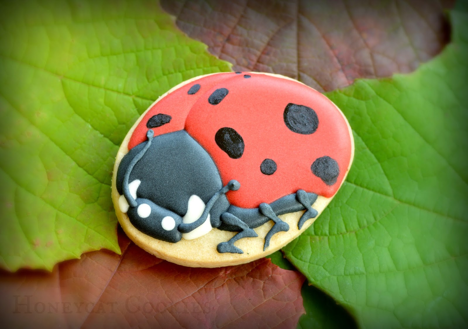 Honeycat Cookies: Ladybird Ladybug, a Cookie Tutorial and Video!