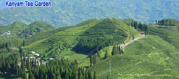 Information about Ilam: About Ilam District