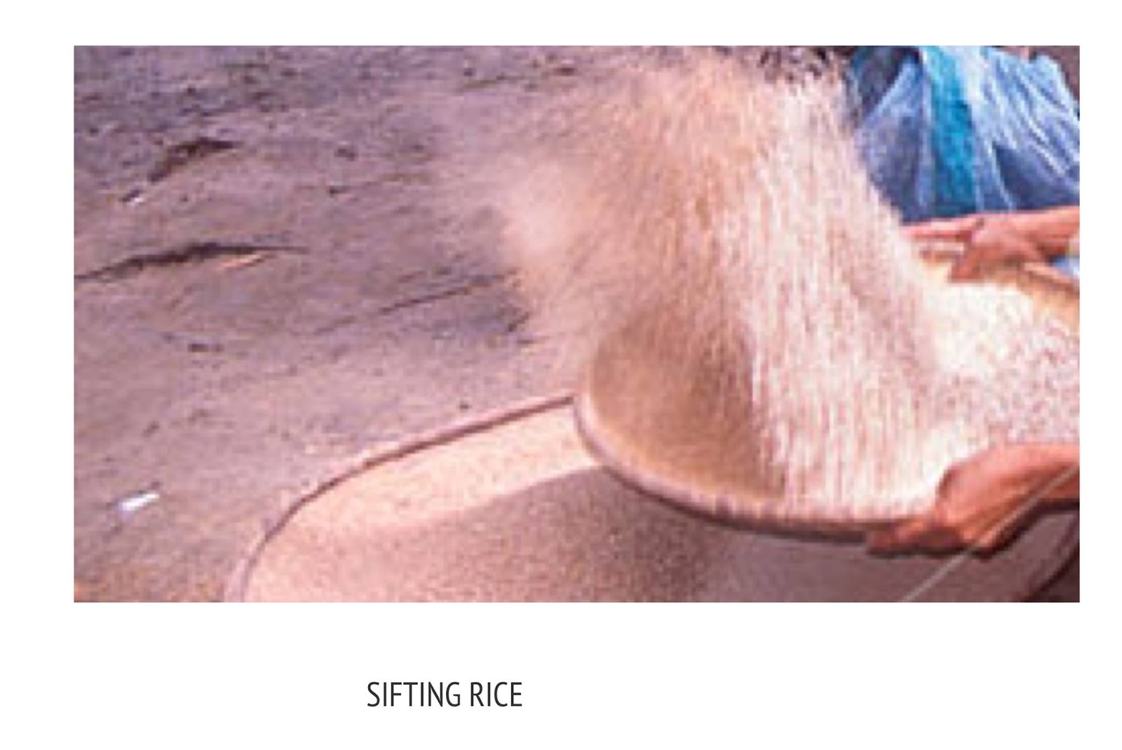 SOL ARTWORDS EXPRESSION"............: RICE SIFTER OR NIGO ...