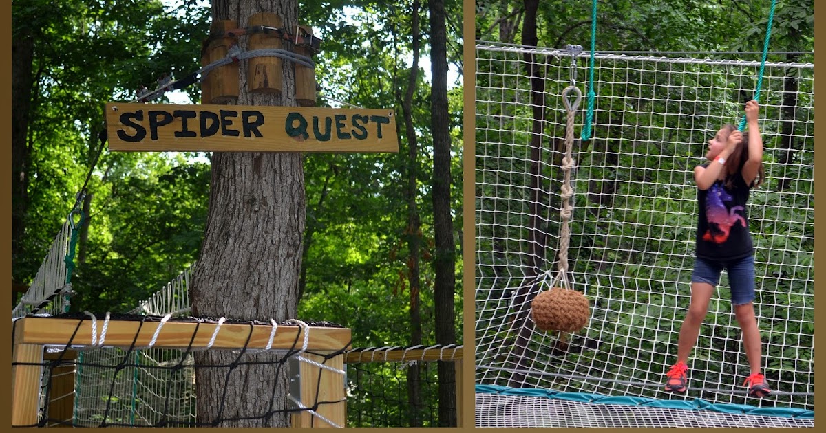 Kathys Cluttered Mind: Spider Quest Review - The ONLY Net Course In The USA