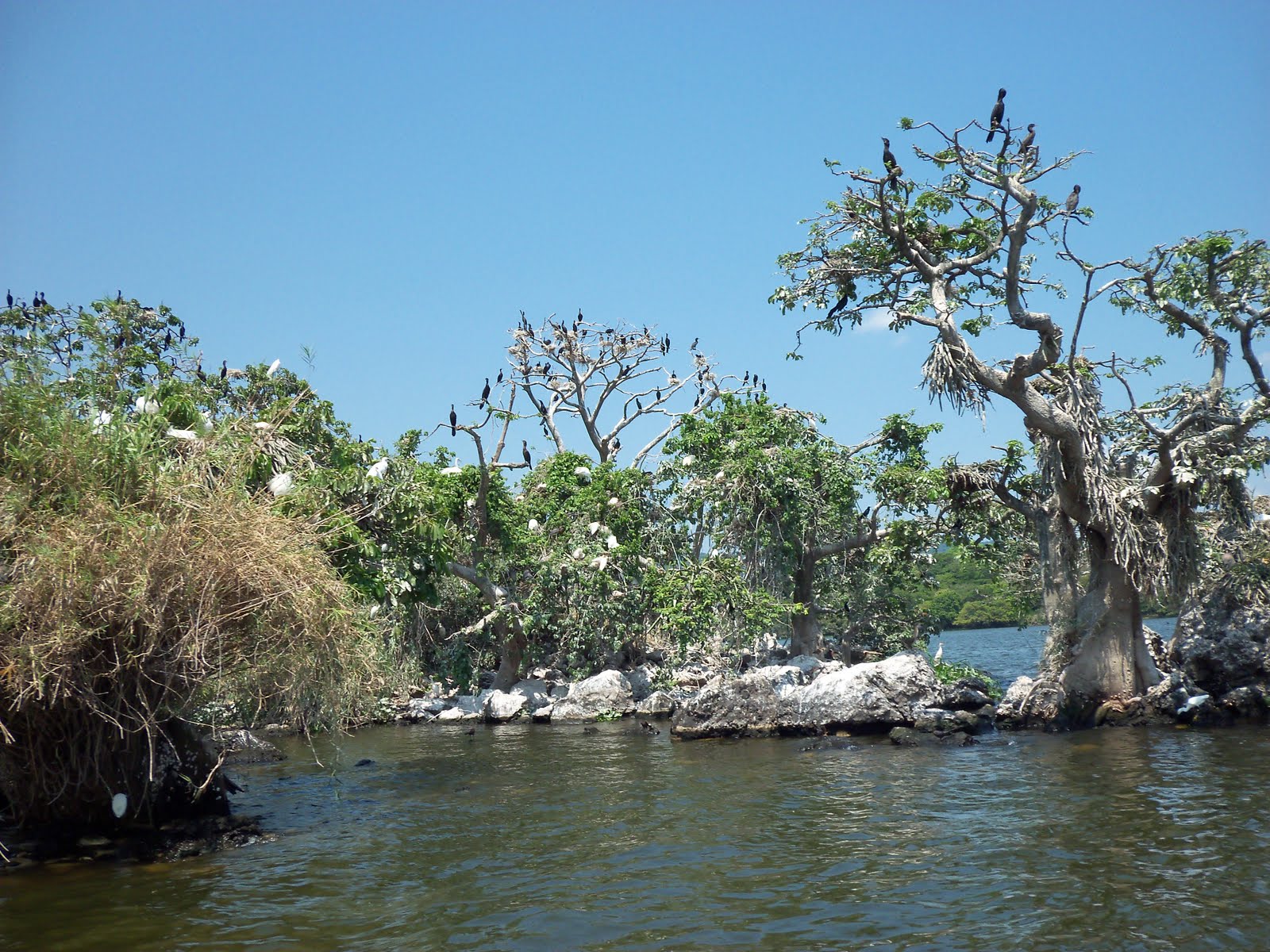 La Sierra Mágica de Los Tuxtlas.: La Isla de Las Garzas