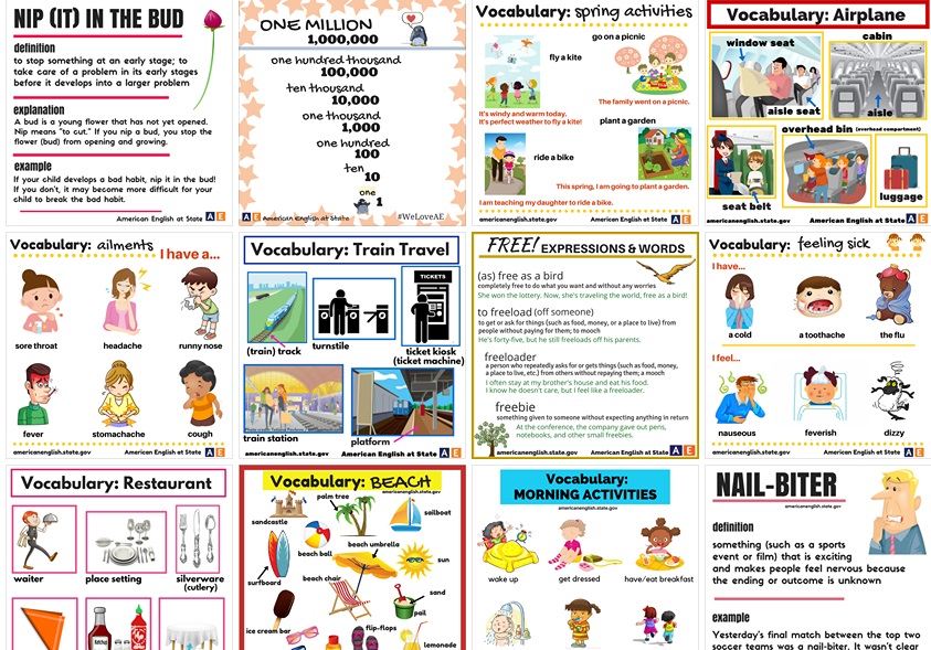 Teacher Neidinha Franca Learn New Vocabulary Words With Graphics teacher-neidinha-franca-learn-new-vocabulary-words-with-graphics