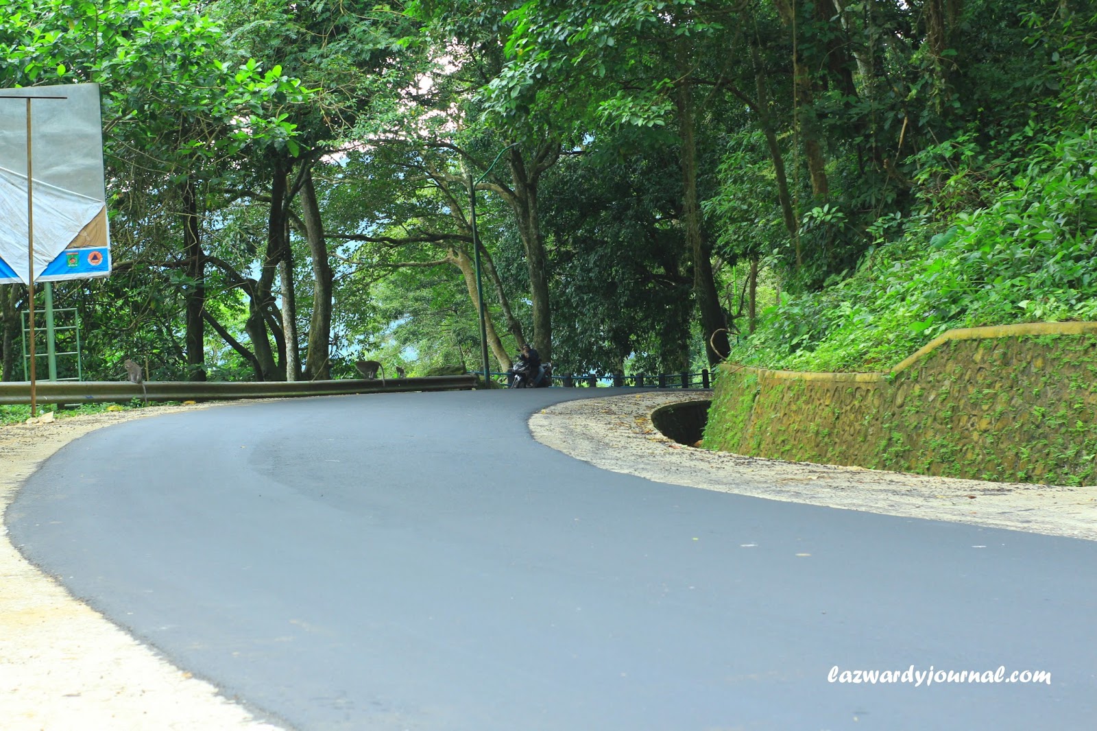 Sejuknya Puncak Pusuk : Monkey Forest ~ Lazwardy Journal