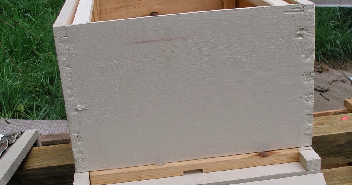 Thy Hand Hath Provided: Our First Langstroth Hive