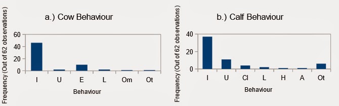 Maja Hampson's Zoo Keeping Adventures