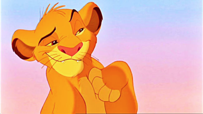 NINE LIVES Movie Cats Photo Gallery