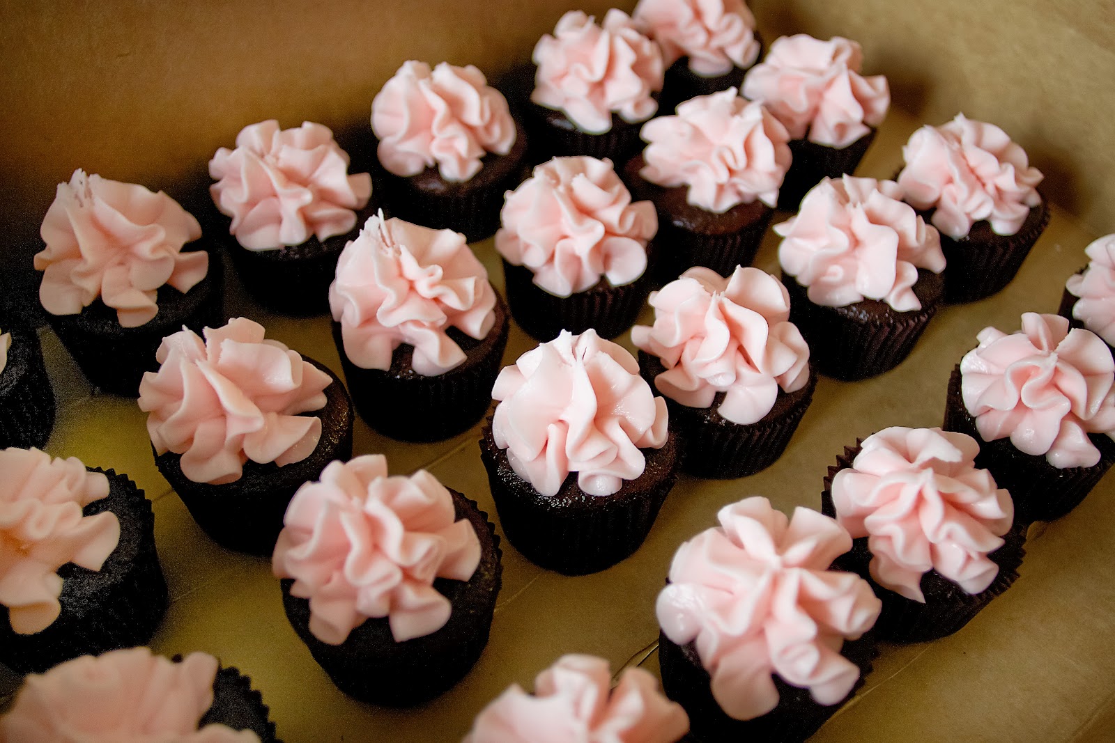 Simply Cupcakes: Mini Cupcakes