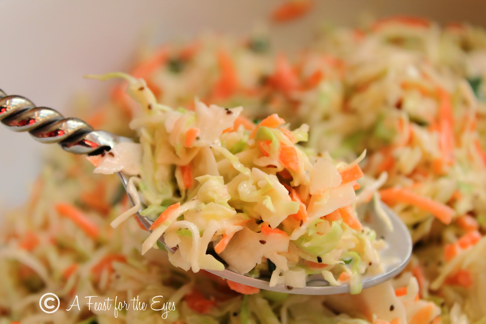 The Best Creamy Homemade Coleslaw - A Feast For The Eyes