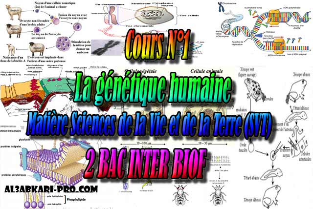Cours N°1 La génétique humaine 2 bac biof PDF