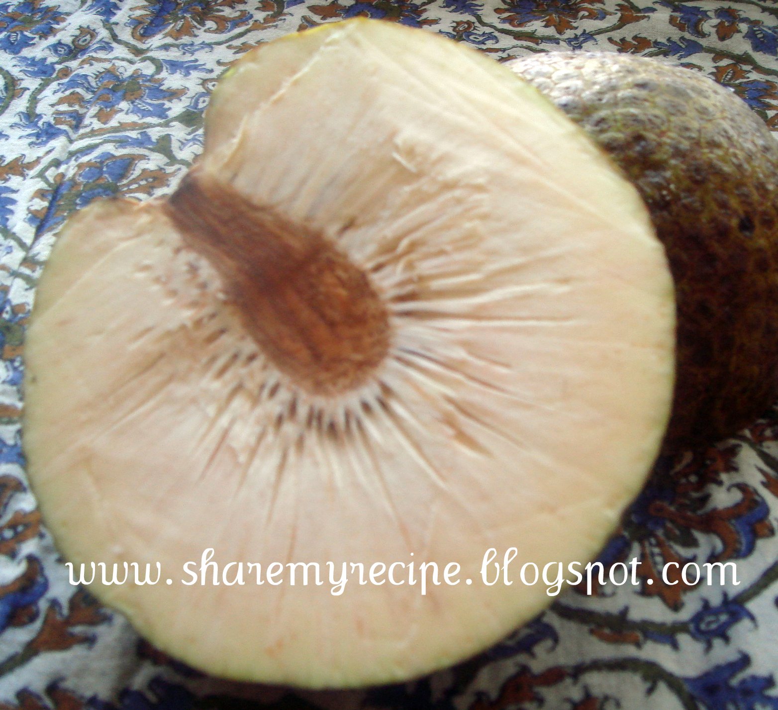 Share My Recipe: Kari Chakka Curry