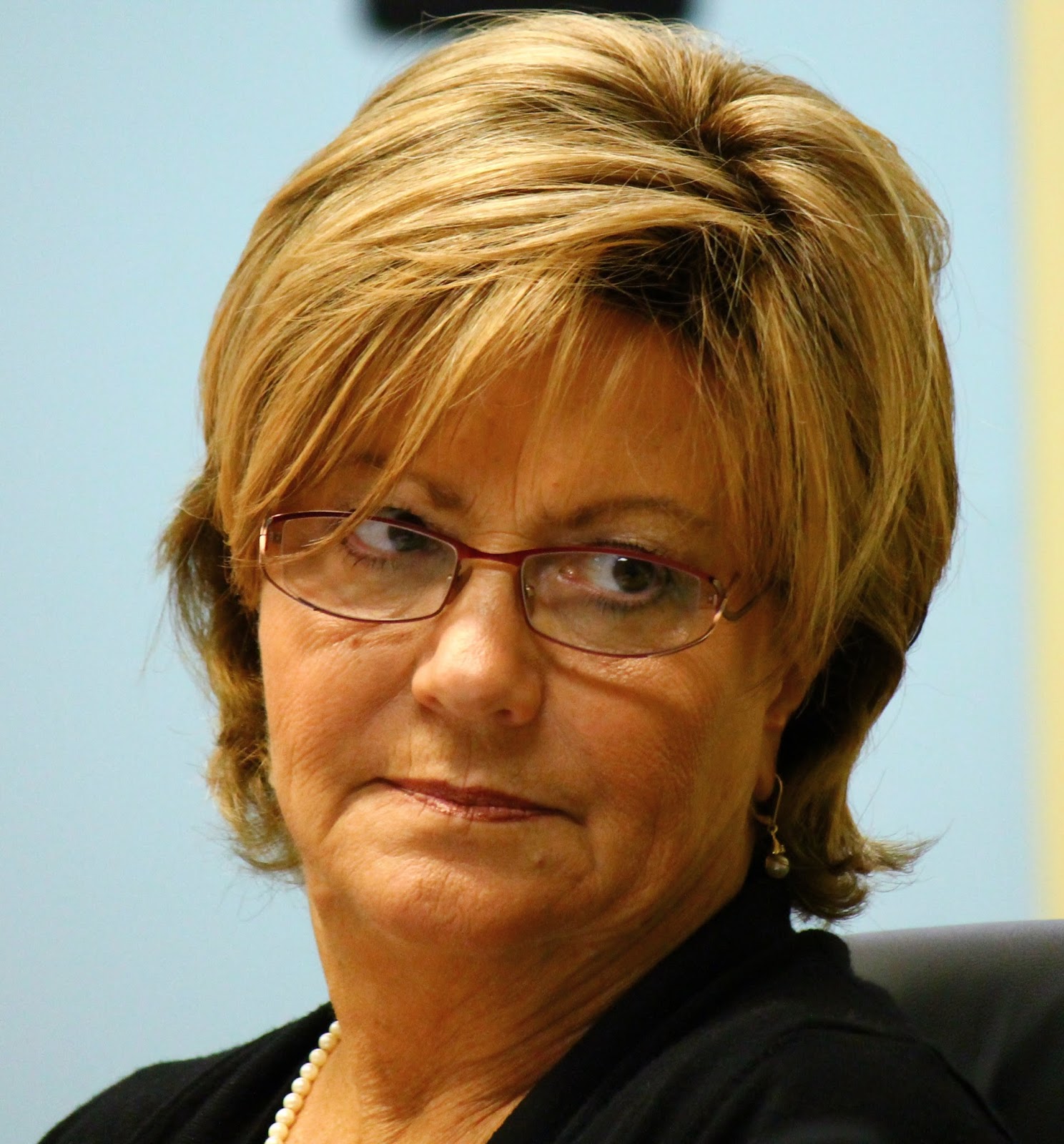 BAY POST INTERNET: Janet Long reelected to serve 3 more years on PSTA Board