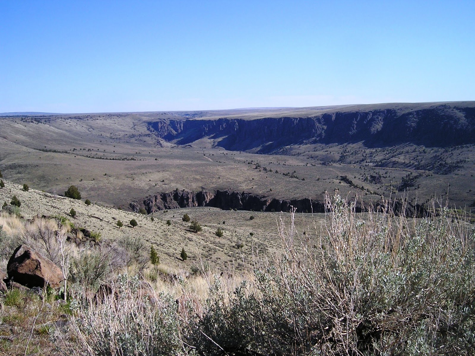 Birding Is Fun!: Three Forks of the Owyhee River