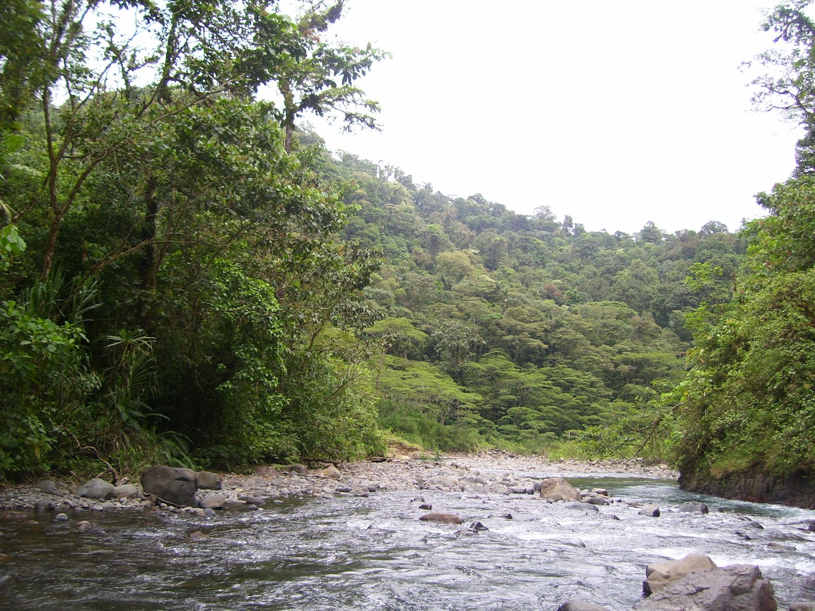 Central America: The Wilderness of the Tilaran Mountains