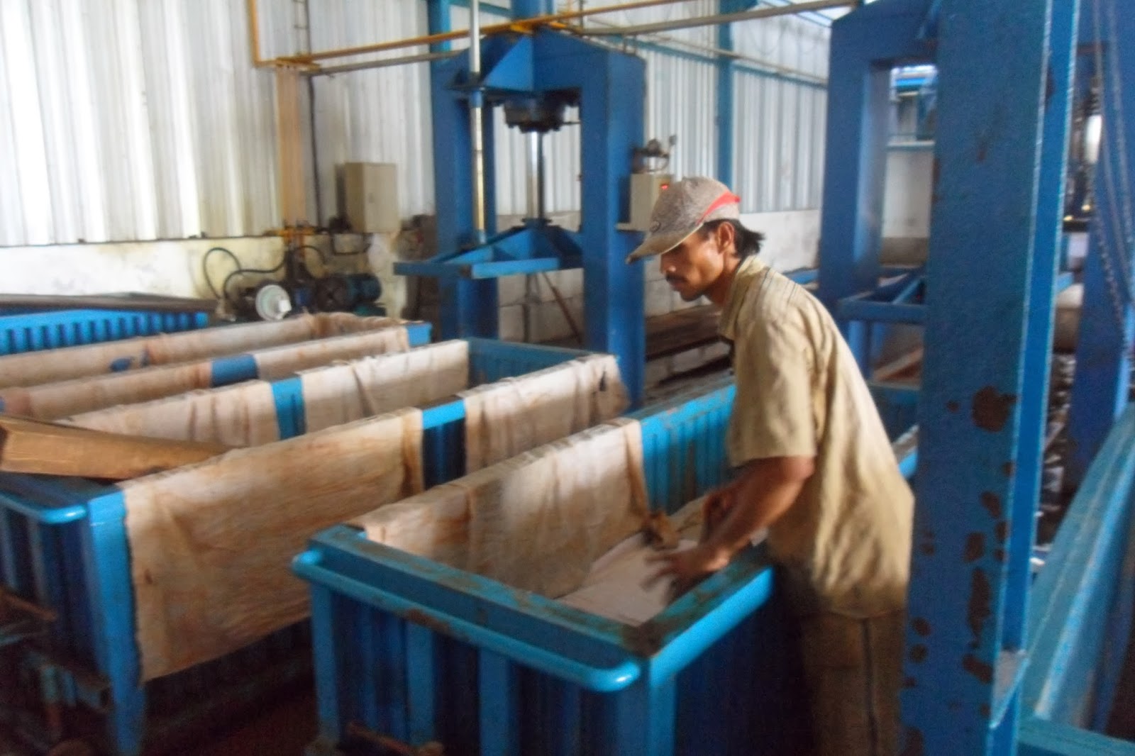 Rumput Laut Indonesia: Berkunjung ke Pabrik Pak Hamzah PT Kappa ...
