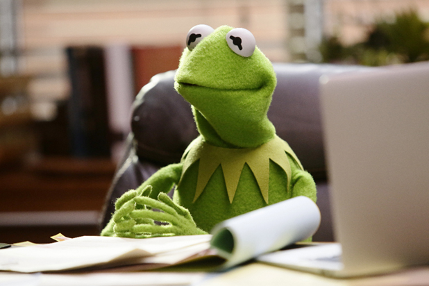 THE GRANDMA'S LOGBOOK ---: KERMIT THE FROG DEBUTS ON TV SHOW 'SAM ...