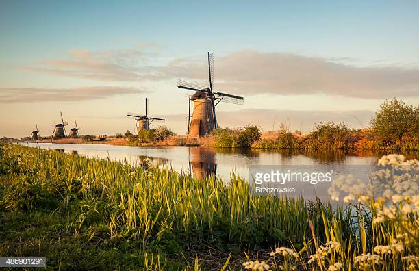 Top 16 Facts About the Netherlands