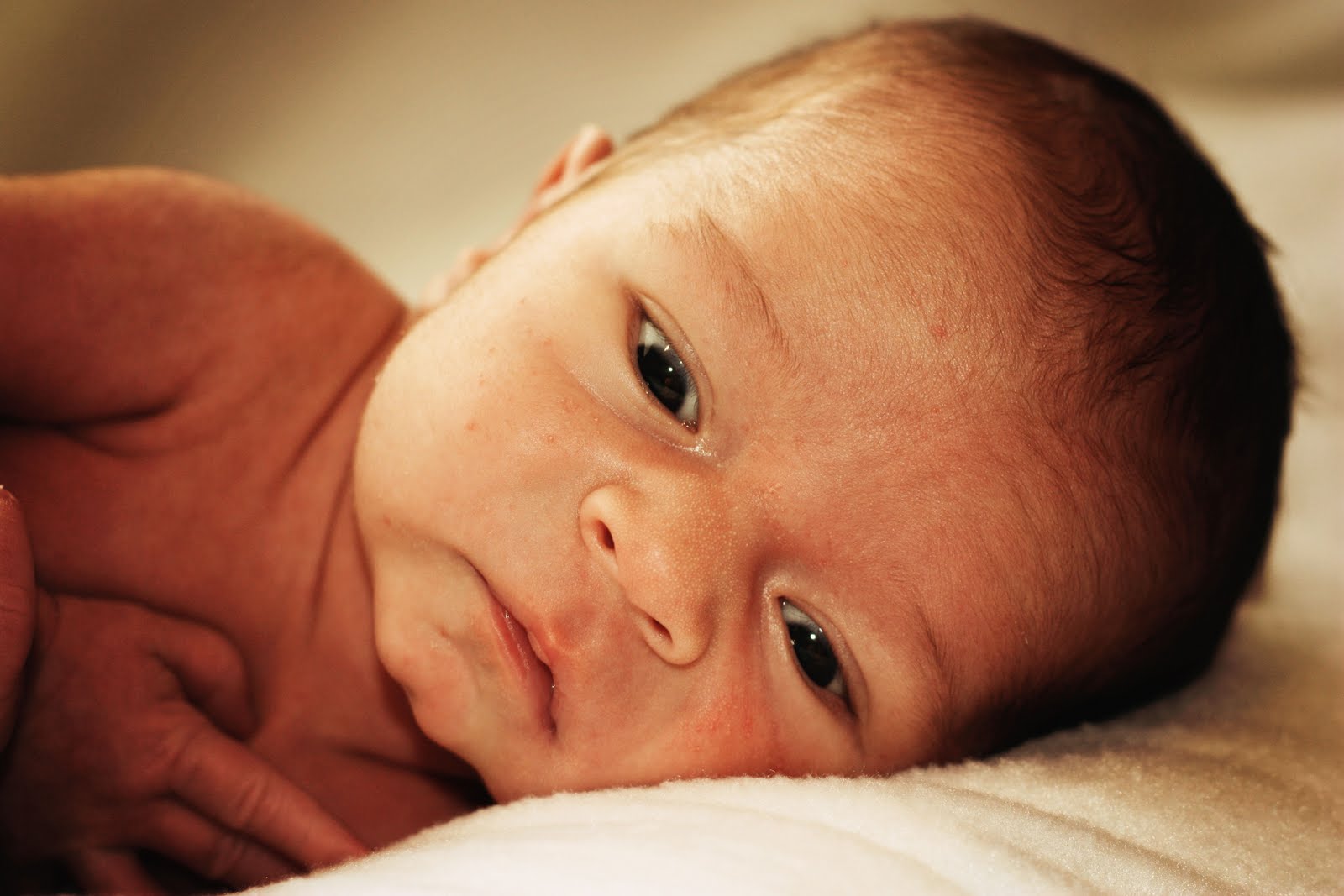 Trista Miller Photography: Baby Brady {3 weeks old}