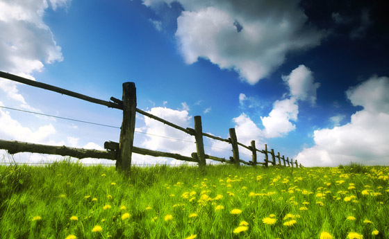 A Blog of One's Own: O Sweet Spontaneous Earth: EE Cummings & Spring