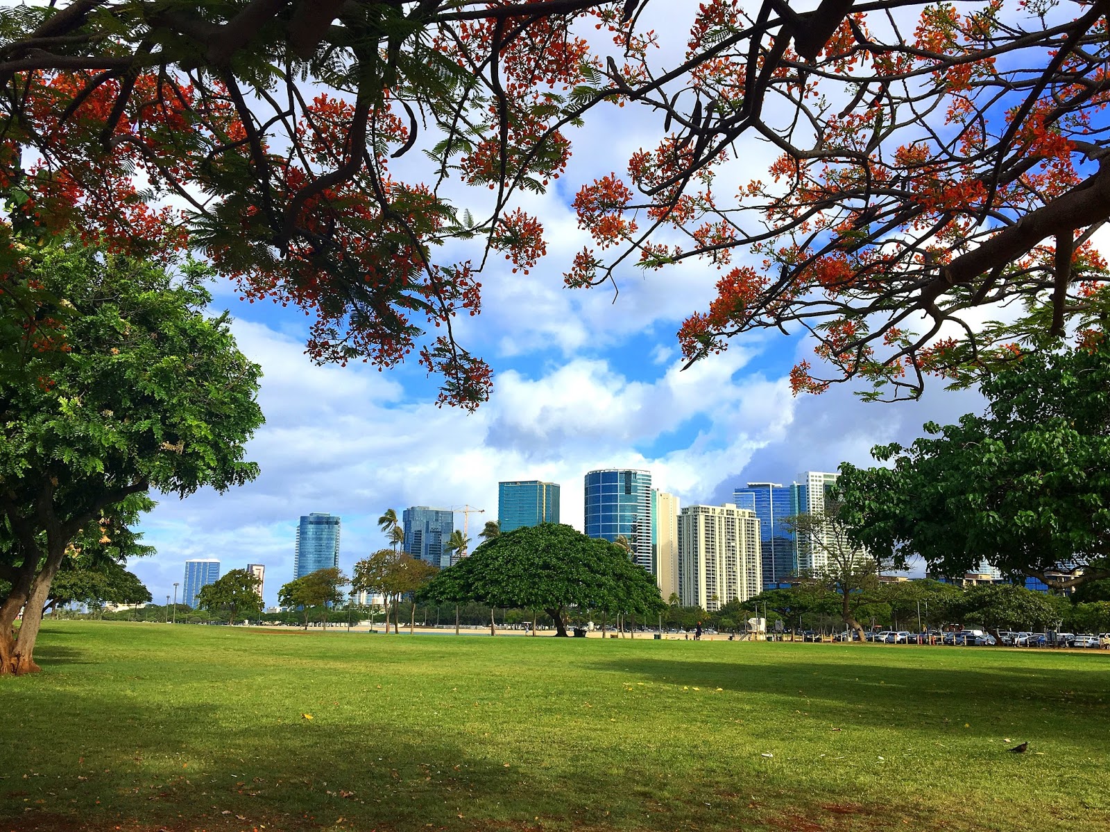 Aloha from Hawaii: A perfect morning in Honolulu