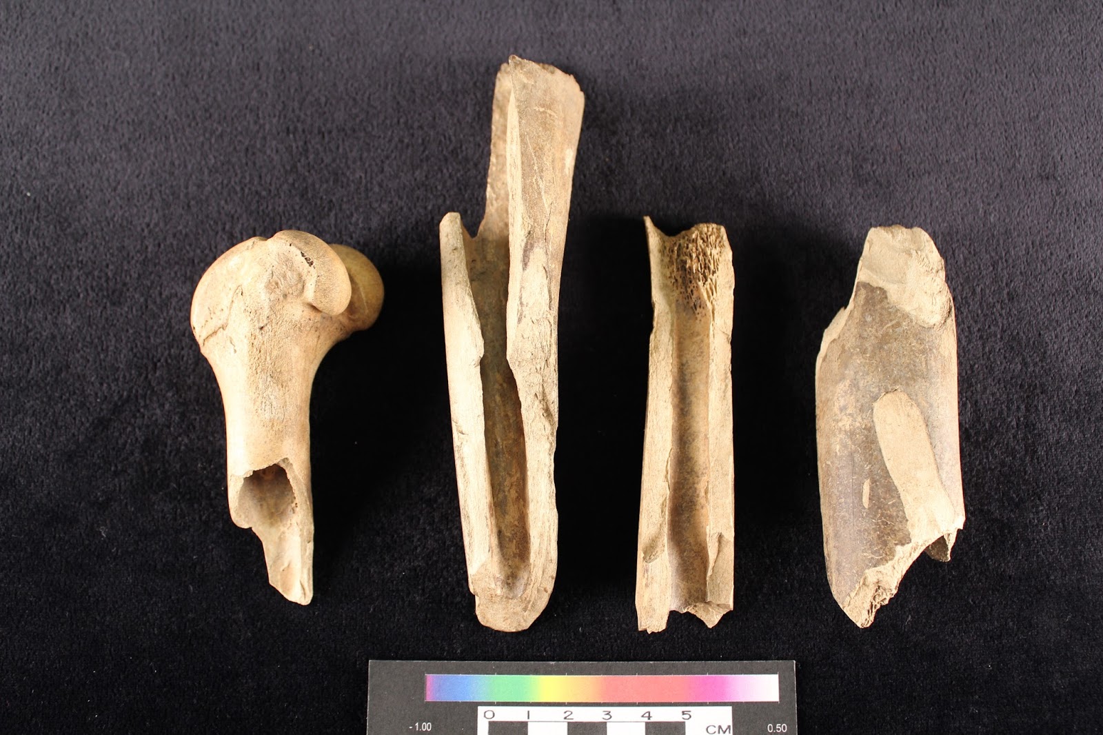 This Week In Pennsylvania Archaeology: October 2016