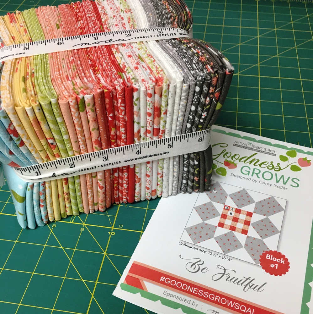 Happy Quilting: Be Fruitful Quilt Plan