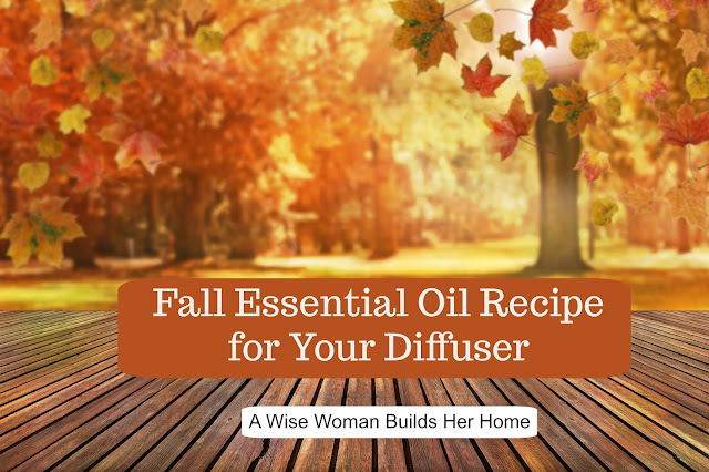 A Wise Woman Builds Her Home: Fall Essential Oil Recipe for Your Diffuser