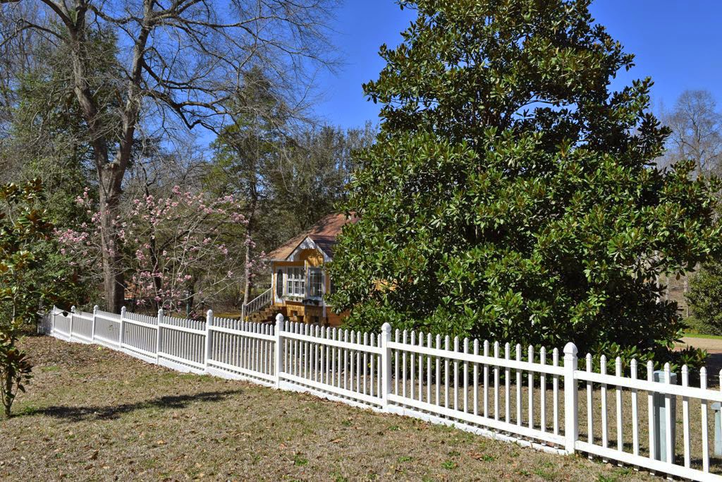 MARIETTE'S BACK TO BASICS: {Our Japanese Magnolia against Vinyl Picket ...