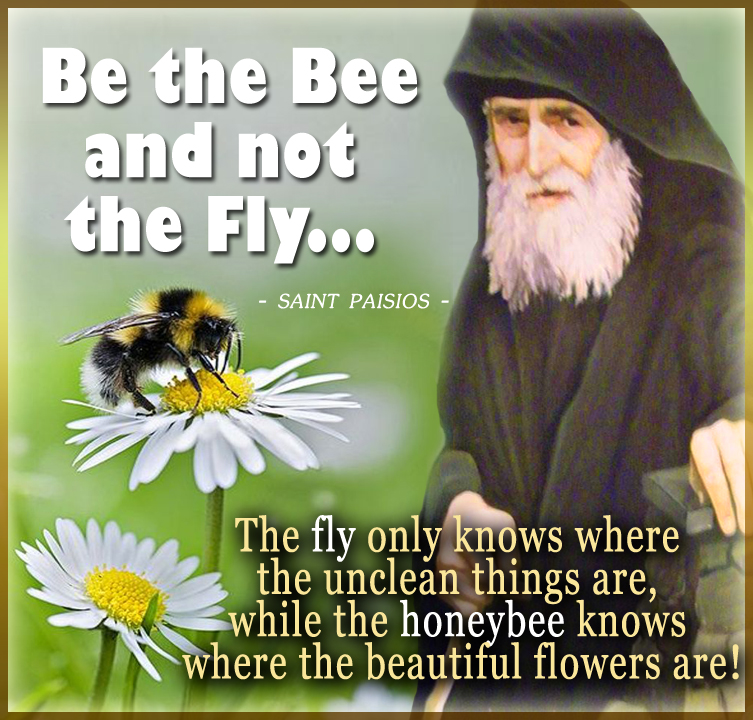 Orthodox Anthology: Be the Bee and not the Fly -Saint Paisios-