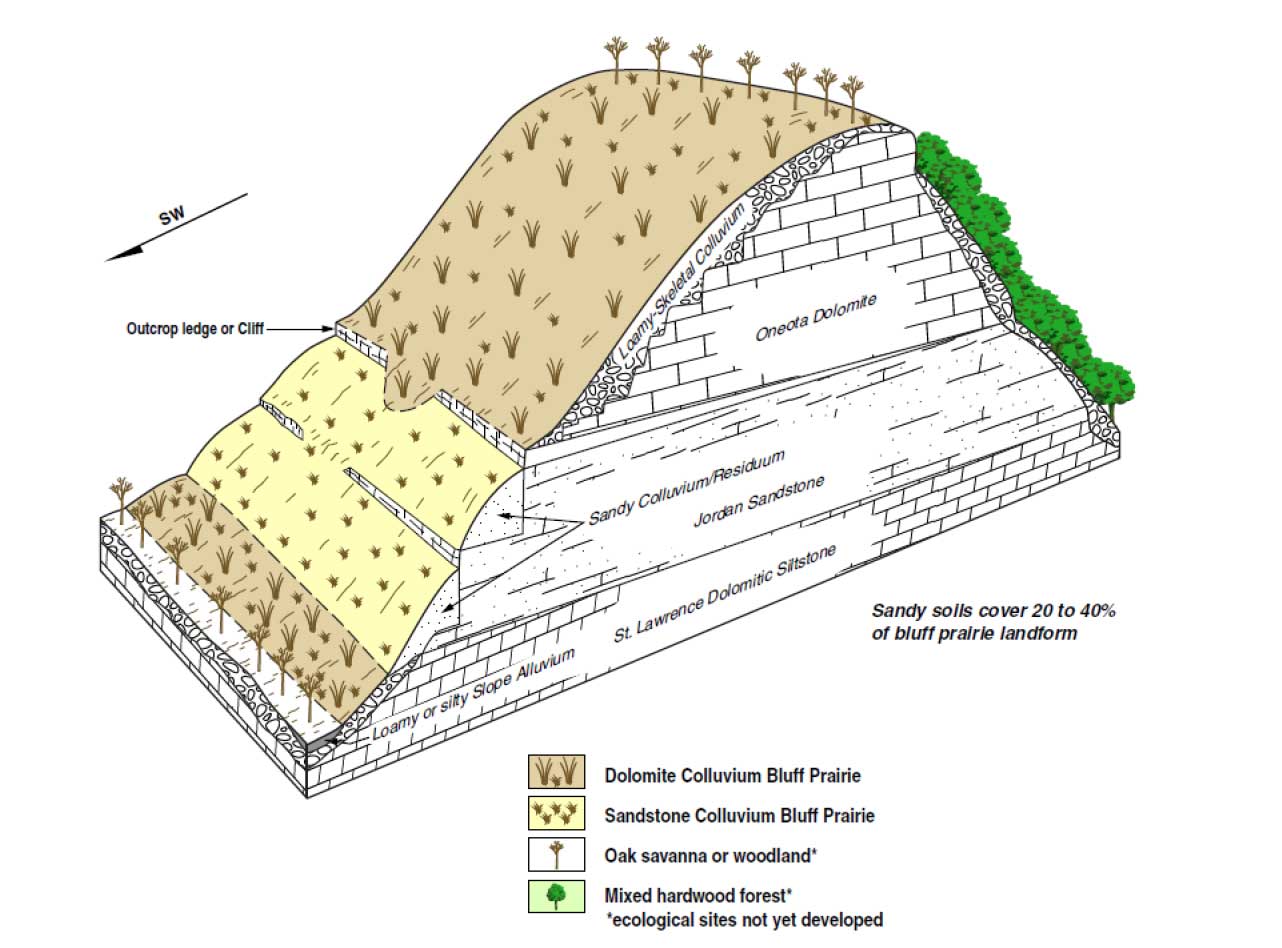 Tom's Blog: Plant ecology and soil characteristics of a Midwestern ...